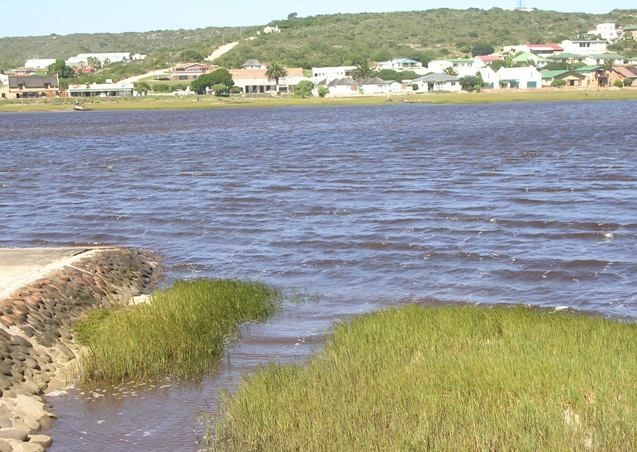 Estuaries_SouthCoast – Page 3 – WATERInfo