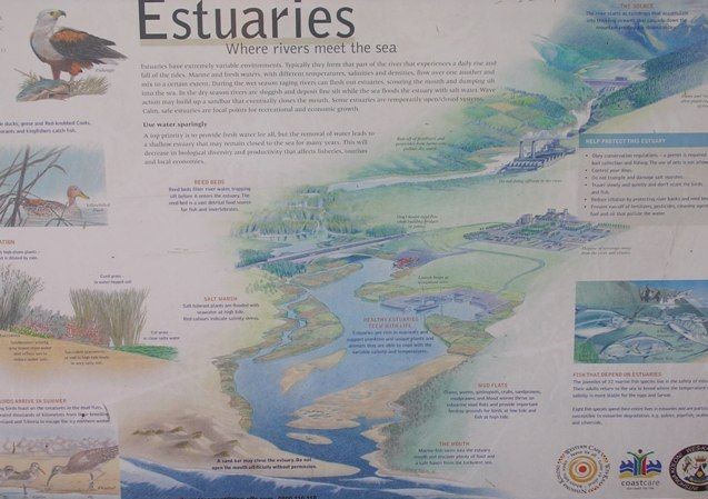 Estuaries_SouthCoast – Page 3 – WATERInfo