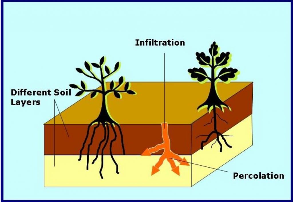 Water Cycle – Page 2 – WATERInfo