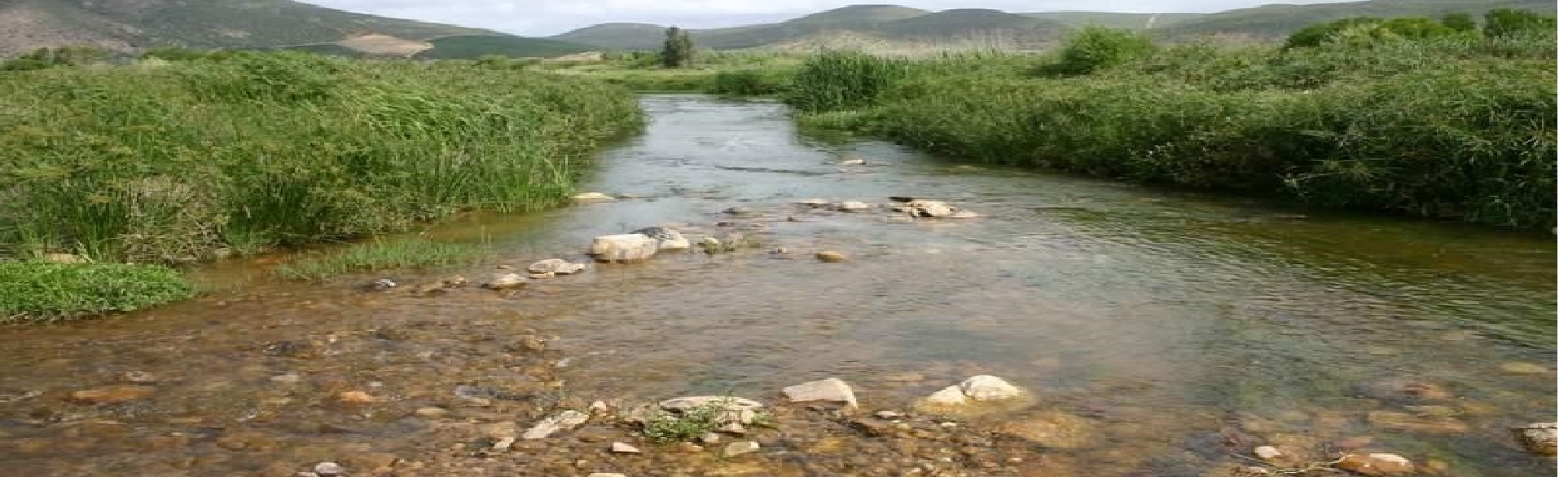 SA Rivers: Eastern Cape – WATERInfo