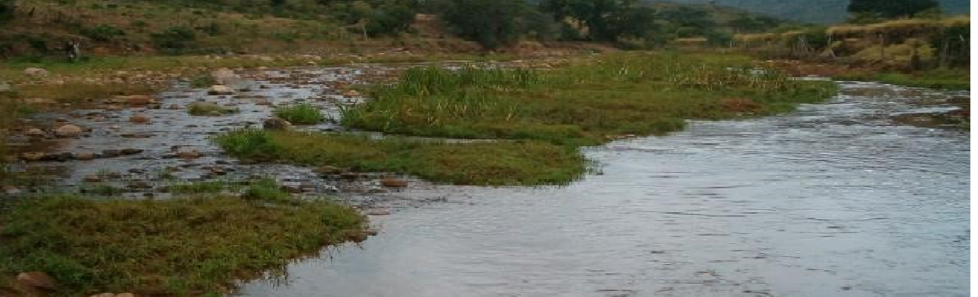 SA Rivers_Limpopo – WATERInfo